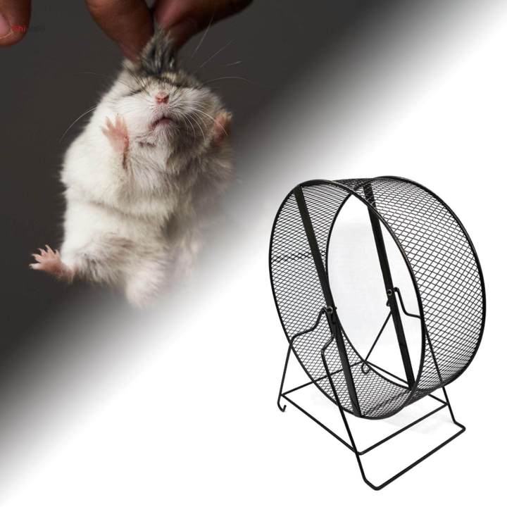 Iron Hamster Running Exercise Wheel for Hedgehogs, Rats, Squirrel ...