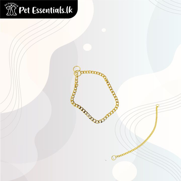 Gold Chocker Chain 2.5mm | Daraz.lk