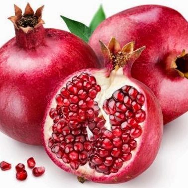 promaganate plant/delum | Daraz.lk