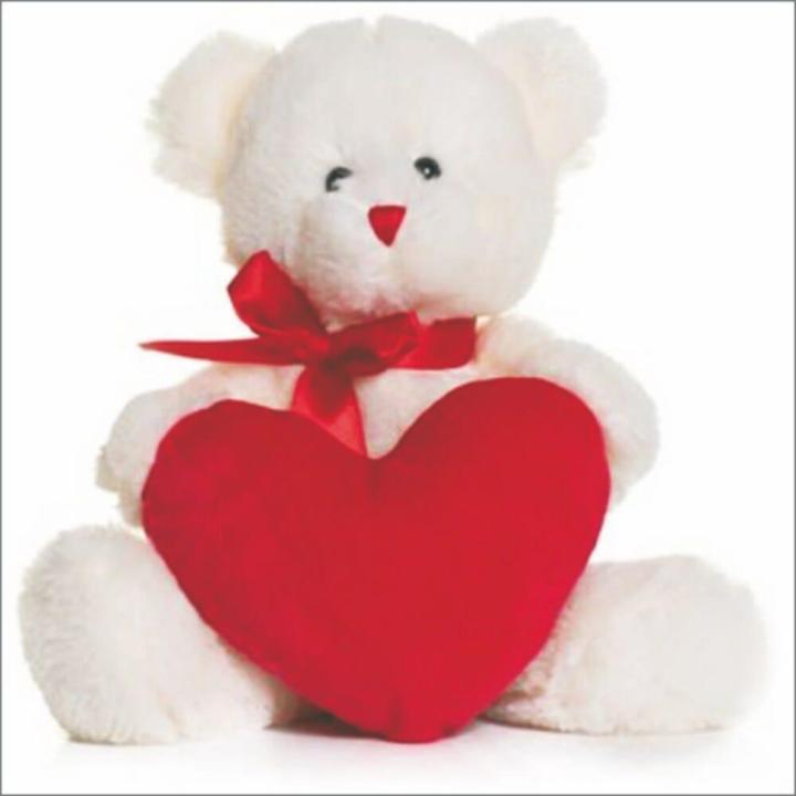 GAS 1 ft Teddy Bear - White | Daraz.lk