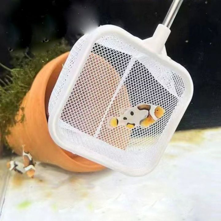 Fishing Gear Stainless Steel Aquarium Square Fishing Net Extendable ...