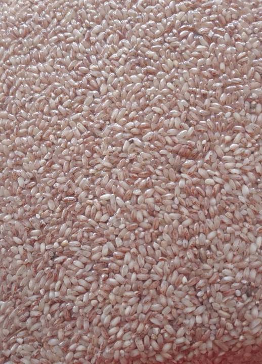 Organic Red Kakulu Rice 1kg | Daraz.lk