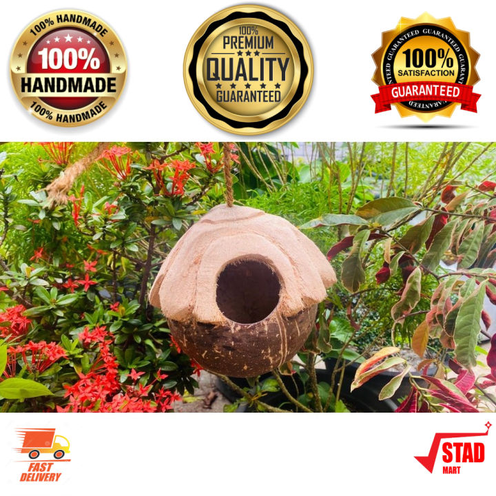 Coconut Husk LOVE BIRD Nest Flower Roof Weaver Bird (වී කුරුල්ලා) Nest ...