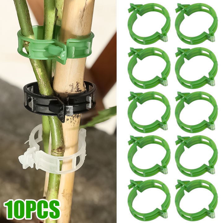 10pcs Plastic Tomato Plant Lock Clips Garden Clips for Fixed Greenhouse ...