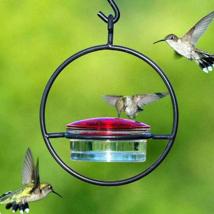 Portable Ant Bee Proof Hummingbird Feeder Tray Plastic/Metal Hangable ...