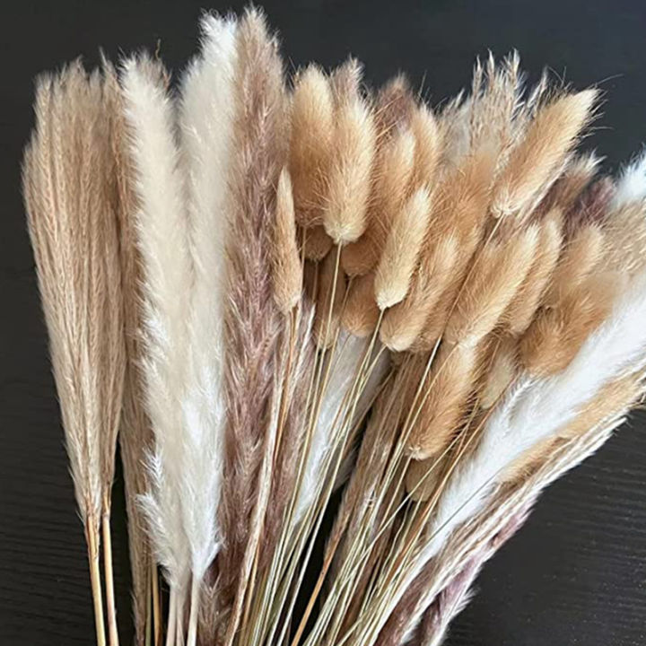 Dekoration New Natural Reed Dried Flowers Pampas Grass Home Wedding ...