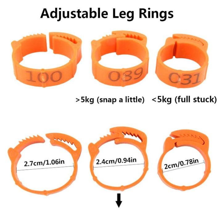 100Pcs Chicken Identification Leg Bands Tags Poultry Leg Bands Bird Leg ...