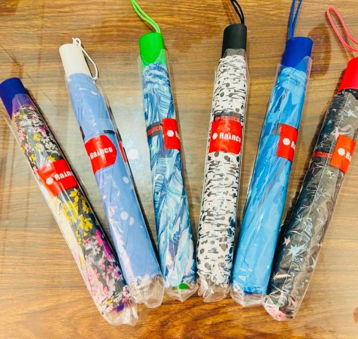 Rainco Regular Printed Umbrella - 1050 | Rainco Umbrella for girls ...