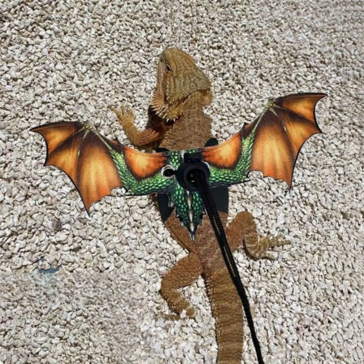 Funny Anti-Bite Lizard Adjustable Wings PU Colorful Bearded Dragon ...