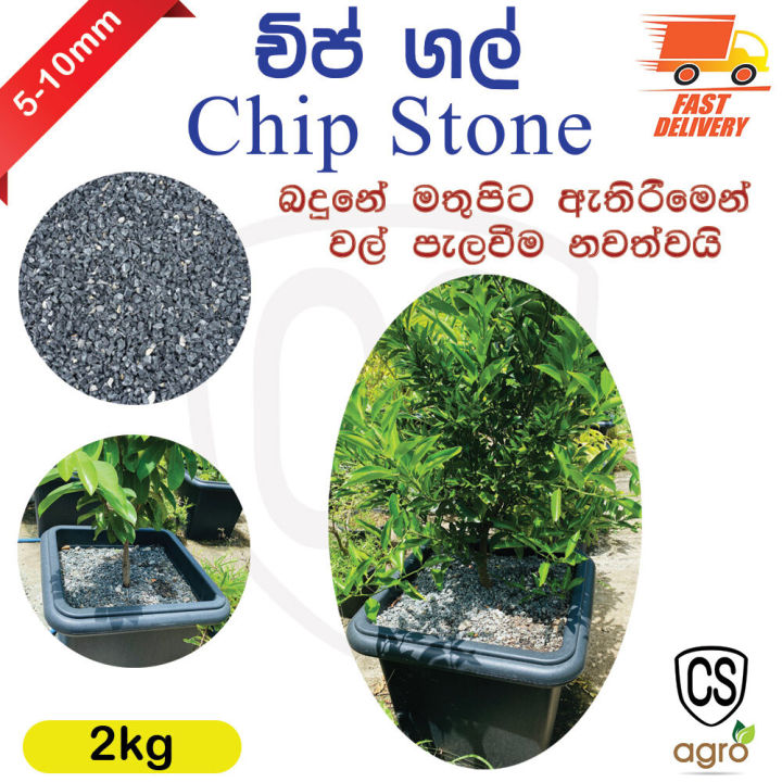 Natural Chip Stone Home Garden Decoration Fish Tank Stone 2kg | Daraz.lk