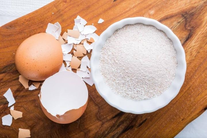 Real Egg Shell Powder Calcium (Home Made) | Daraz.lk