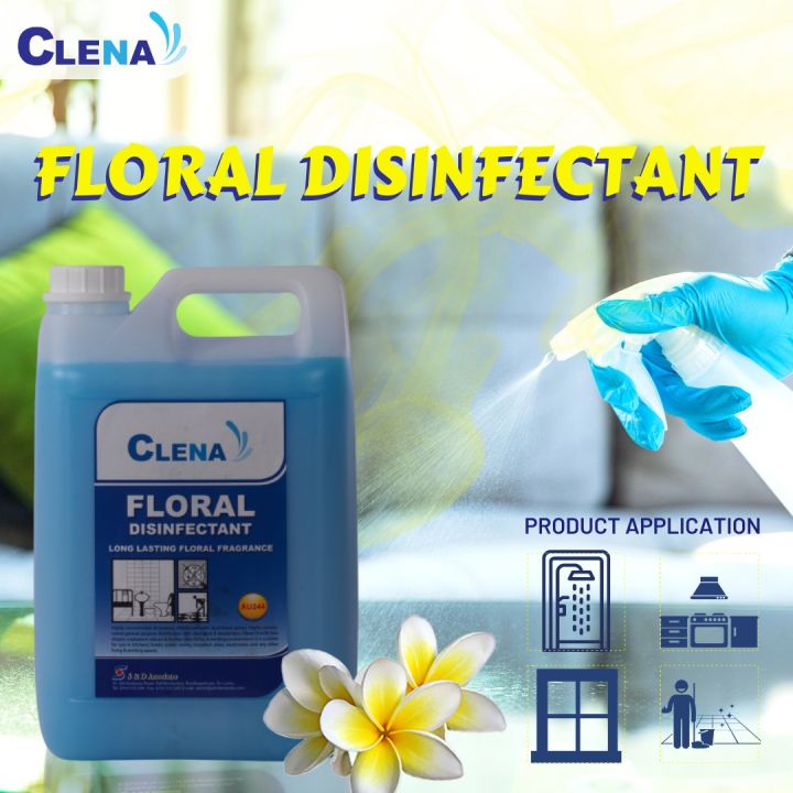 DISINFECT SURFACE CLEANER - 5l | Daraz.lk