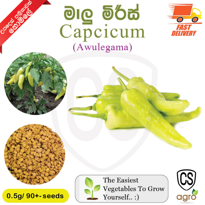 Malu Miris Awulegama Local Seeds Gardening Agriculture Home 0.5g | Daraz.lk