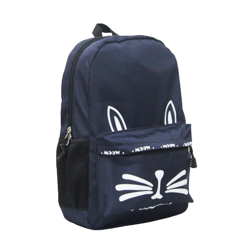Stylish Double Shoulder Backpack/ Bag (School Bag/ Class Bag) | Daraz.lk