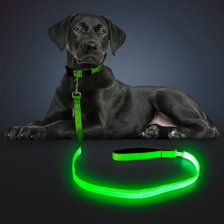 LED Dog Leash | Daraz.lk: Buy Online at Best Prices in Srilanka | Daraz.lk