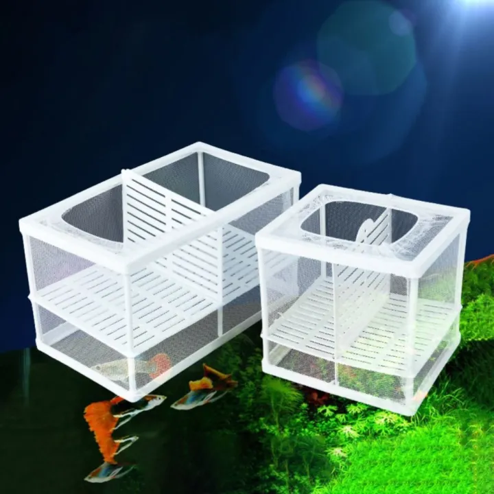 Removable Portable Aquarium Aquarium Accessory for Baby Fishes Shrimp ...