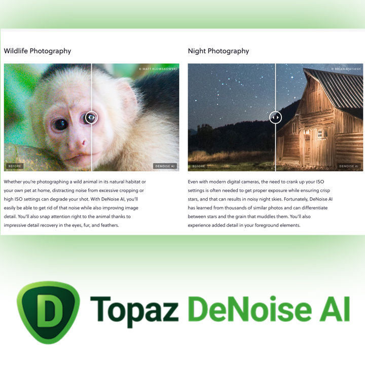 Topaz DeNoise AI v3 Photo Editing Software | Daraz.lk