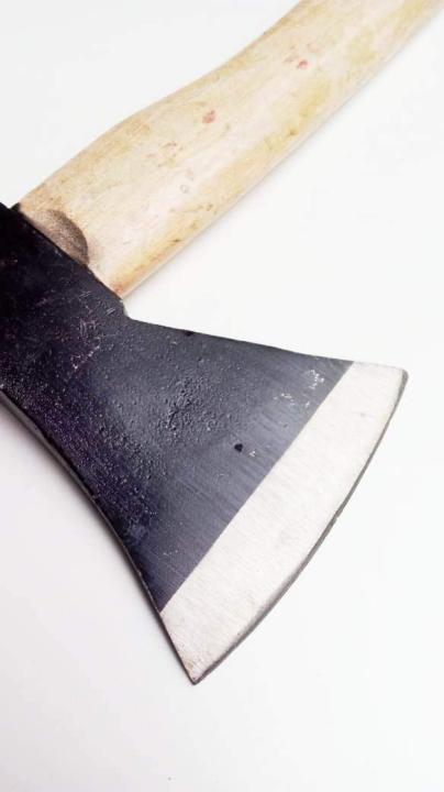 Chopping Axe, Hand Axe, Camp Hatchet for Splitting Kindling and ...