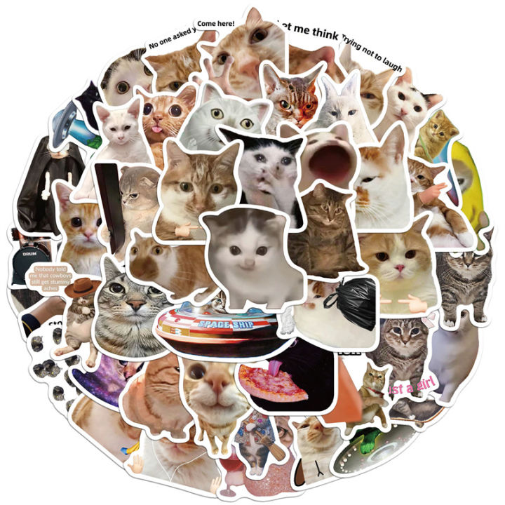 50PCS Viral Cat Meme Doodle Stickers - Cute Trendy Kitty Expressions ...