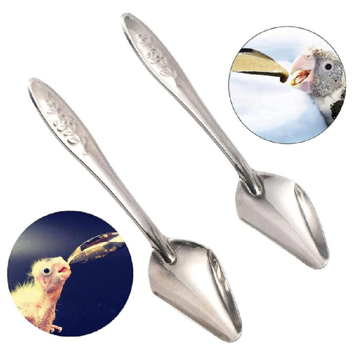 2Pcs Premium Stainless Steel Bird Feeder Spoons - Hand-Feed Your Baby ...