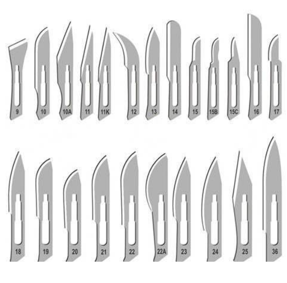 Surgical Blade (Box) | Daraz.lk