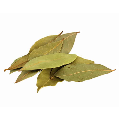Bay Leaves 50g | Daraz.lk: Buy Online at Best Prices in Srilanka | Daraz.lk