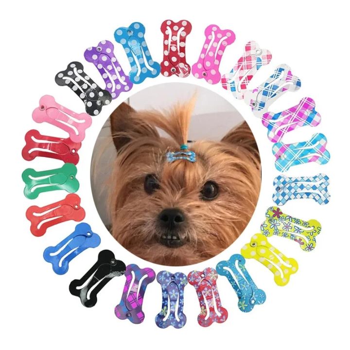10Pcs Dog Hair Clips Mini Bone Shaped Puppy Hairpin Multicolor Pet ...