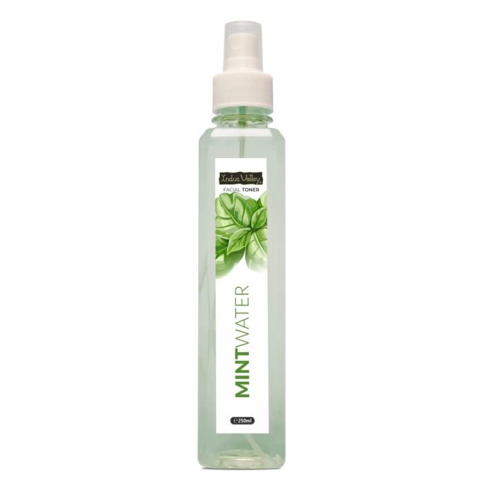 INDUS VALLEY Natural Mint Water Facial Toner - Chemical Free - 250 ml ...