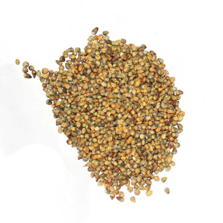 Green Milate For Bird Food 5kg | Daraz.lk