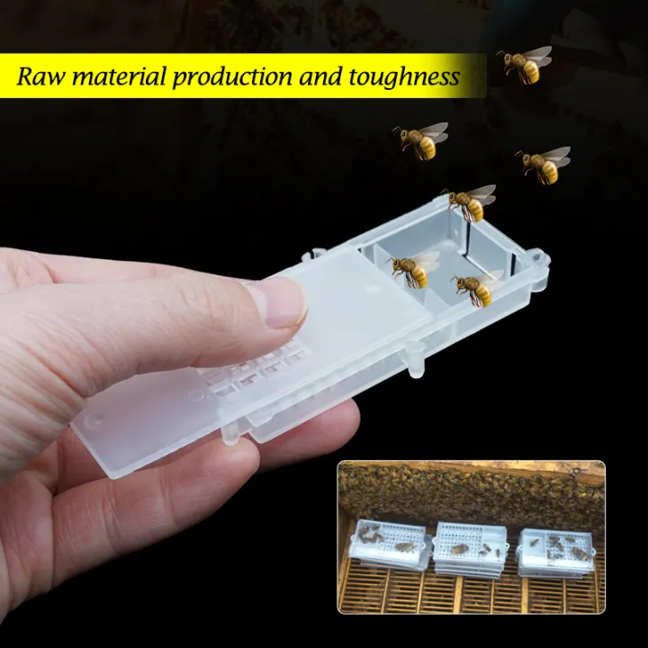 Beekeeping Bees Transparent Queen Cages, Bee Queen Transport Cages ...