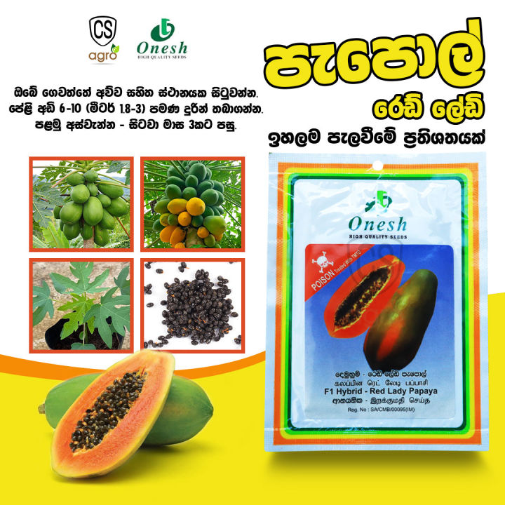 Papaya F1 Hybrid - Red Lady Seeds 10seeds Gardening onesh seeds ...
