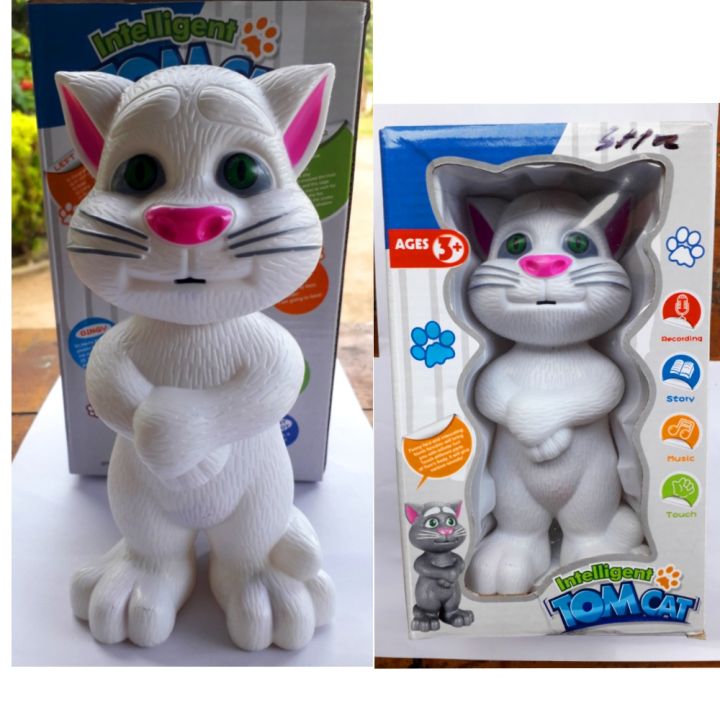 Intelligent talking tom cat with wonderful touching voice | Daraz.lk