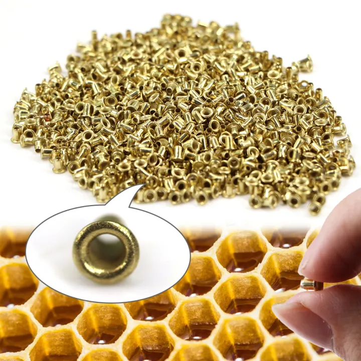 1100/2200/3300pcs Beekeeping Tool Bee Hive Copper Eye Bees Nest Box ...