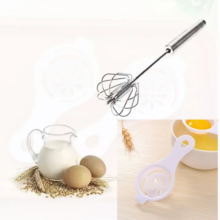 Stainless Steel Whisk Mixer ( Small ) | Daraz.lk