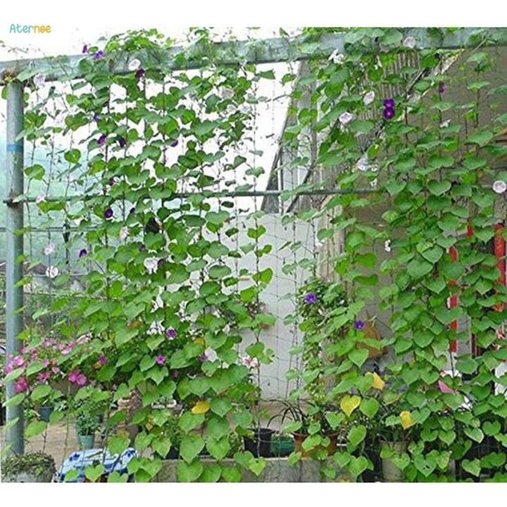 Nylon Netting Vine And Veggie Trellis Net Plant , Green, 180x90cm Green ...