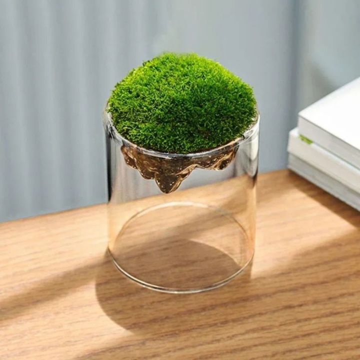 Garden Supplies Mountain Shaped Moss Glass Bottle Creative Durable Moss ...