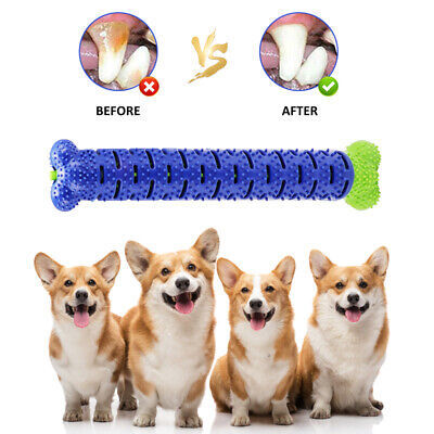 Chewbrush ™ Clean your dog's teeth Dog cbgd Teeth Cleaning Self ...