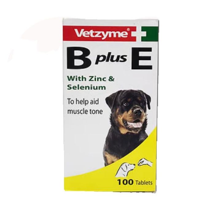 VETZYME B Plus E for Dogs and Puppies – 100 | Daraz.lk
