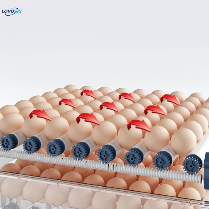 Automatic Egg , Egg Hatcher Temperature Control, Adjustable Egg Tray ...