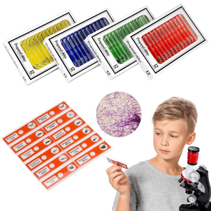 Prepared Microscope Slides For Kids Plastic Animals Insects Plants ...