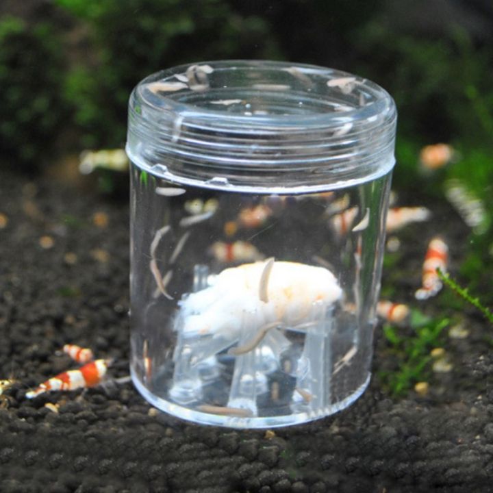 Aquarium Worm Trap Fish Pest Catch Trap Glass Clear Leech Catcher For ...