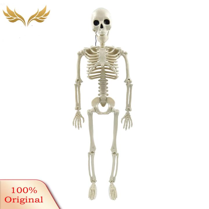 SuperRide Halloween Party Skeleton Realistic Posable Halloween Skeleton ...
