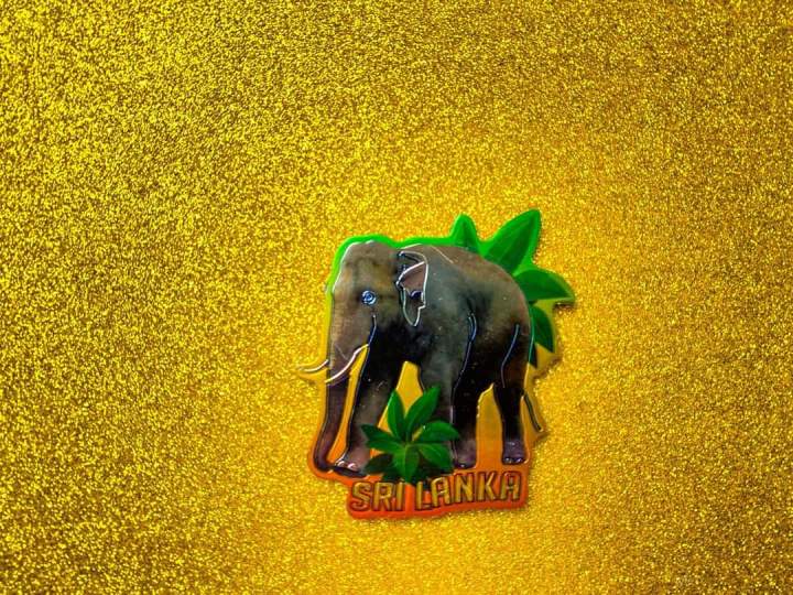 SRILANKAN ELEPHANT MAGNET ARTWORK | Daraz.lk