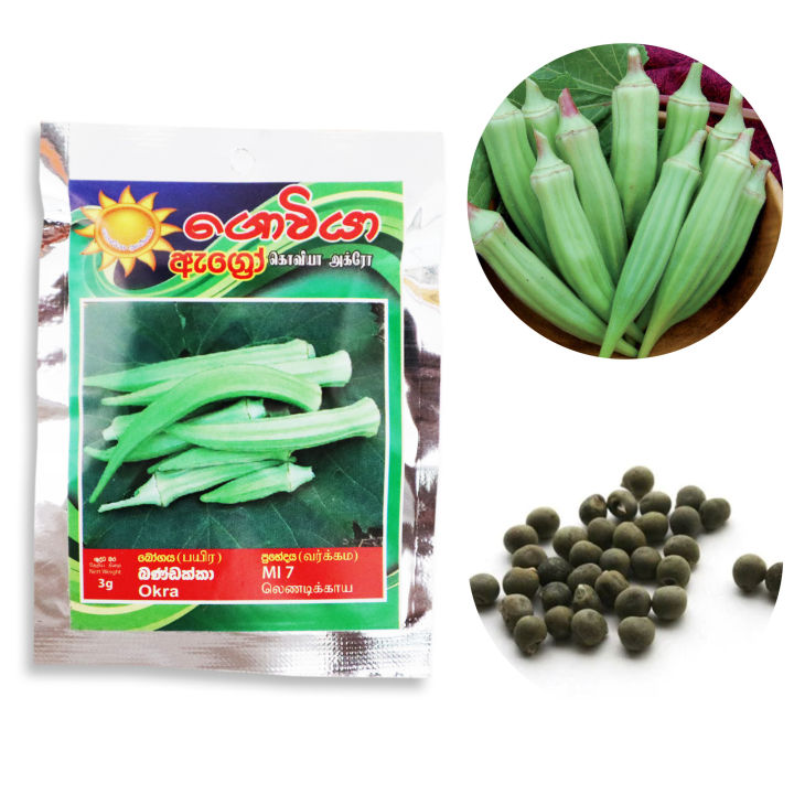 Okra MI 7 3g Seeds Banndakka Beeja Home Gardening Agriculture | Daraz.lk