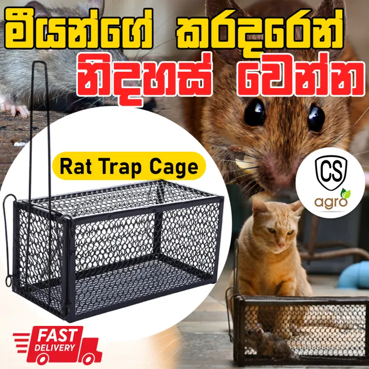 High Quality Rat Trap Cage Mouse Case Mice Catcher Home Animal Control ...