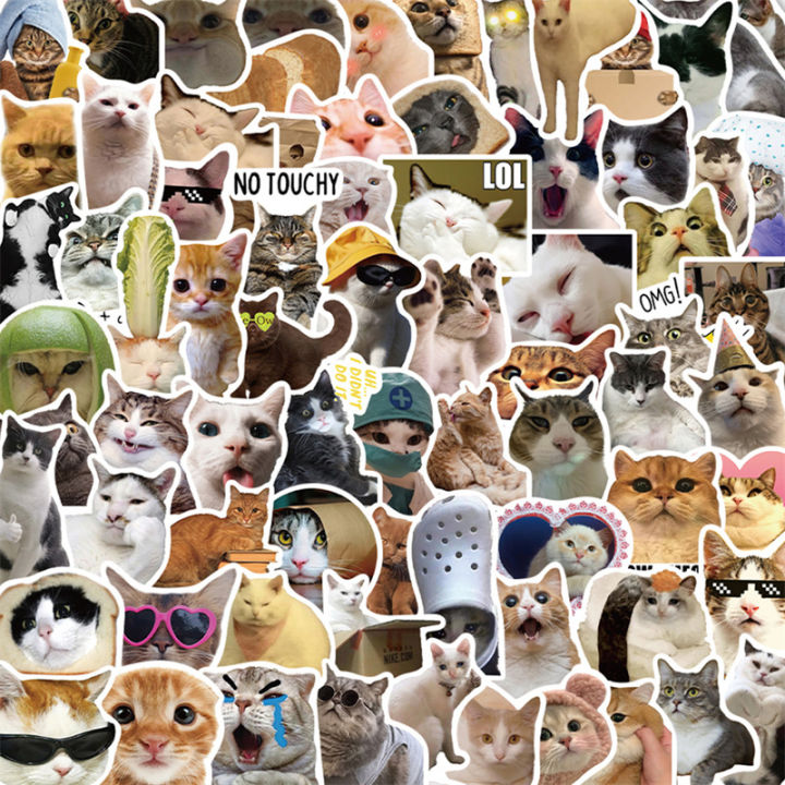 100PCS Cute Cat Meme Stickers - Viral Kitty Meme Doodle Decals For DIY ...