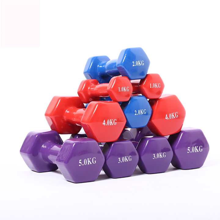 Ladies Dumbbells 500g (x2) Hand Weight For Strength Training | Daraz.lk