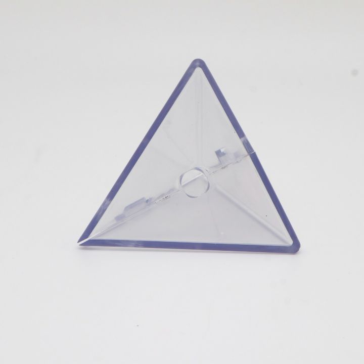 Garden Fruit Protector Transparent Tomato Growing Shaping Mold Growing ...