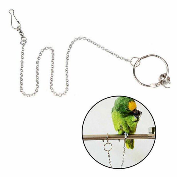 Parrot Leg Ring Ankle Foot Chain Bird Outdoor Flying Training Activity ...