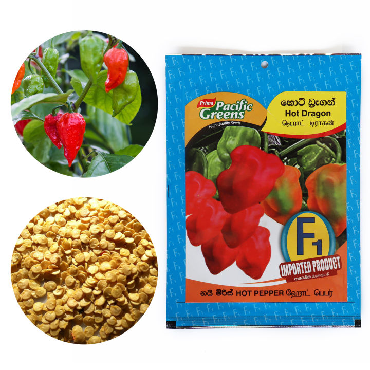 F1 Hybrid Hot Pepper Hot Dragon Seeds Nai Miris Beeja 0.25g | Daraz.lk